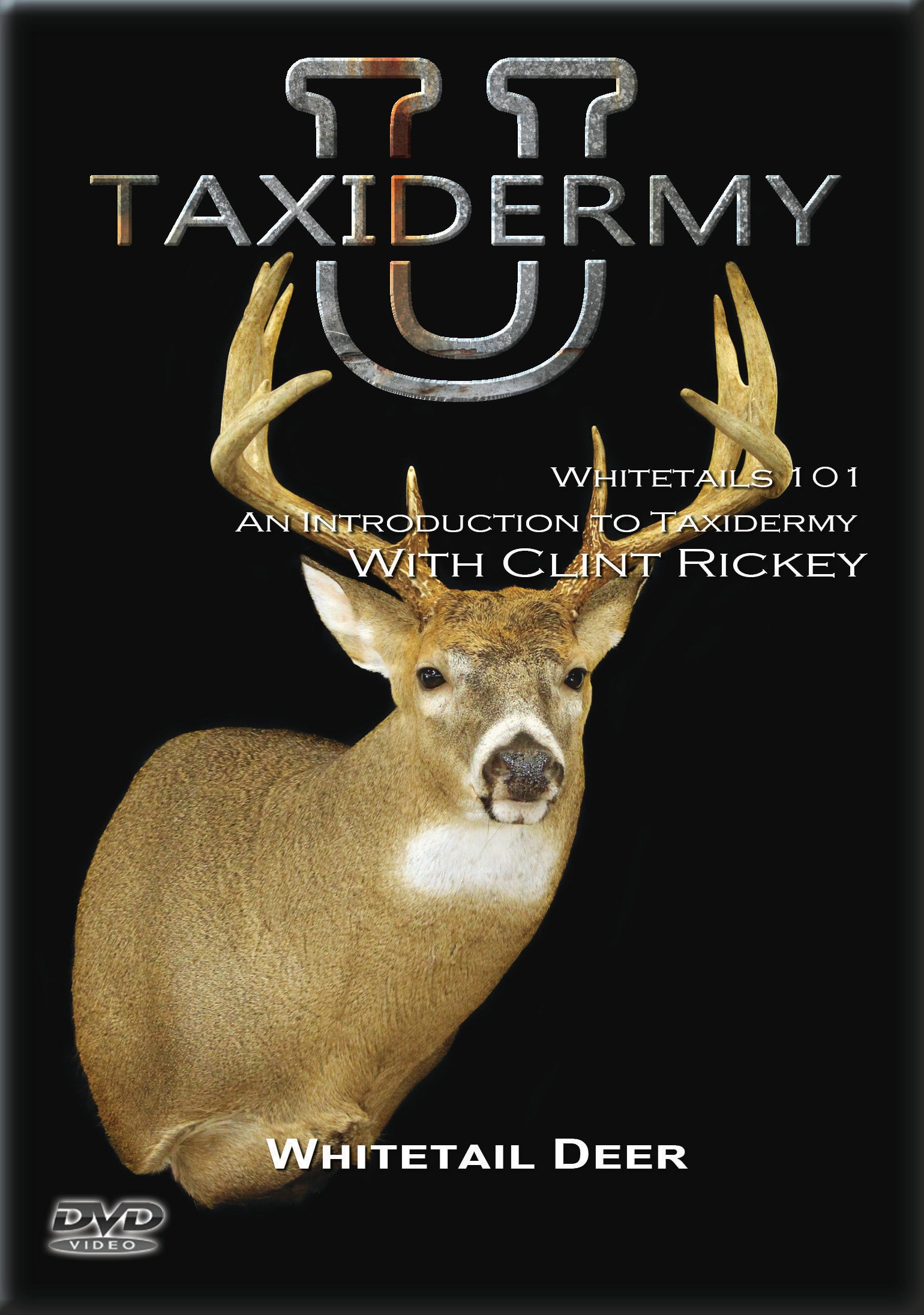 Whitetails 101 - Intro to Taxidermy - w/ Clint Rickey | Taxidermy University