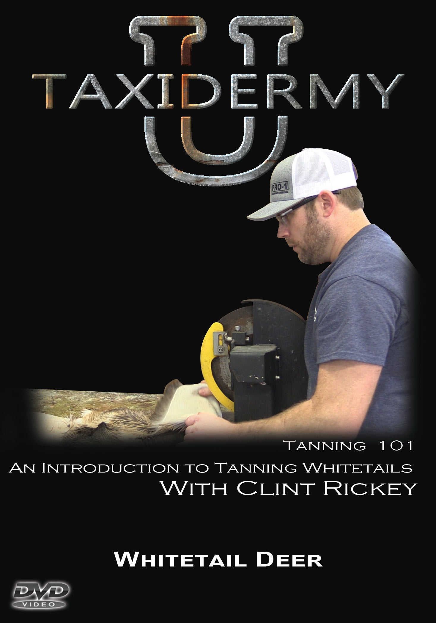 Tanning 101 - An introduction to tanning whitetail skins | Taxidermy ...