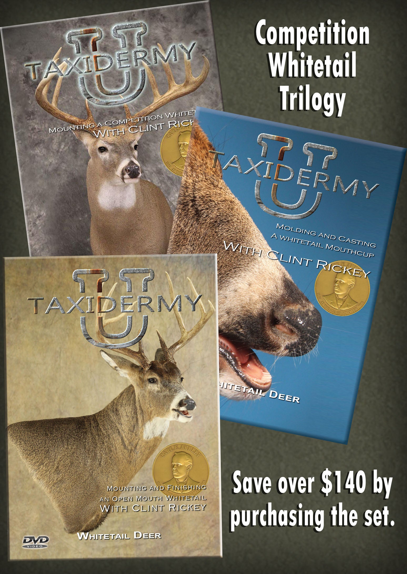 Competition Whitetail Trilogy | Taxidermy University